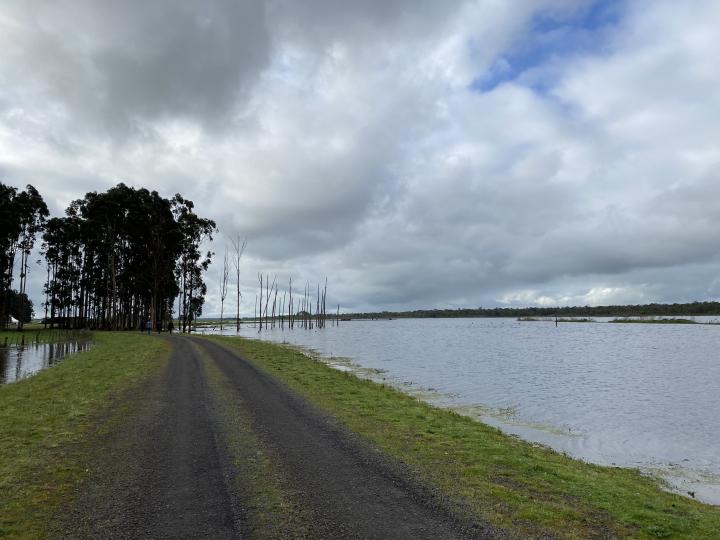 Home | Southern Rural Water