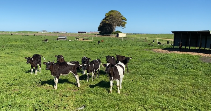 Home | Southern Rural Water