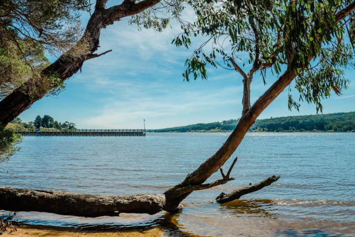 Home | Southern Rural Water